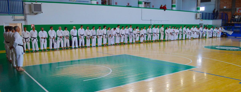 Fesik - Federazione Educativa Sportiva Italiana Karate