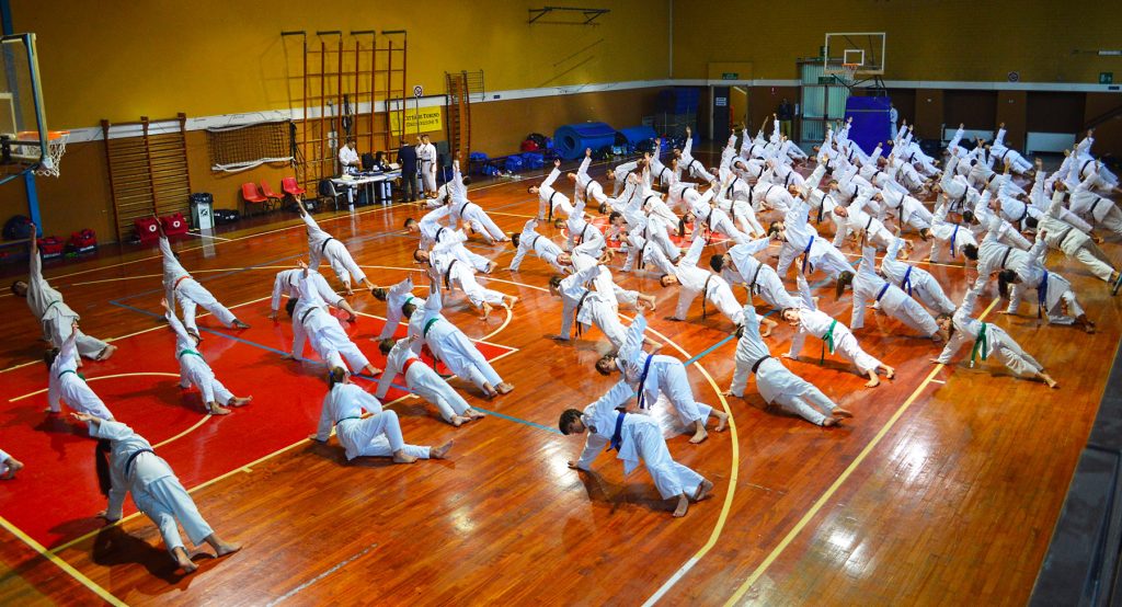 Fesik - Federazione Educativa Sportiva Italiana Karate
